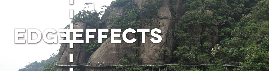 Decolonizing Infrastructure in India and the US: A Conversation with ...